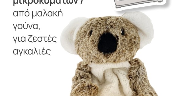 heated teddy bear| The best price online